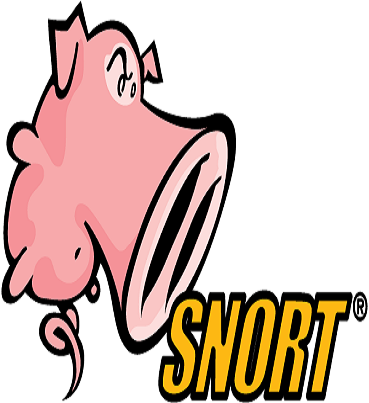 Snort Nedir? - Siber Eğitmen